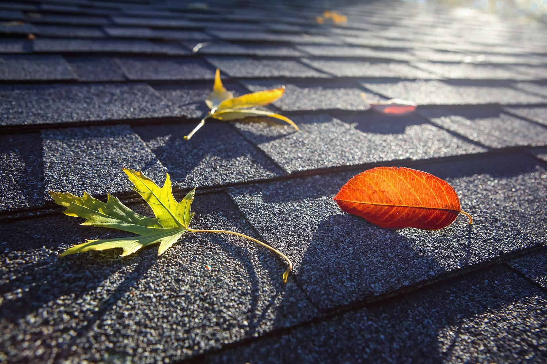 Why Fall Is the Best Time for a Roof Inspection | SwingCoast